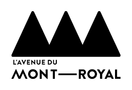 Les impacts sociaux-environnementaux de la piétonnisation de l’avenue ...
