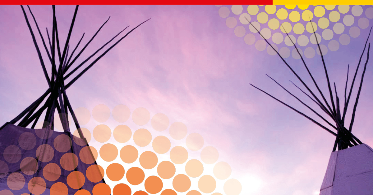 La santé des peuples autochtones : déterminants sociaux de la santé et ...